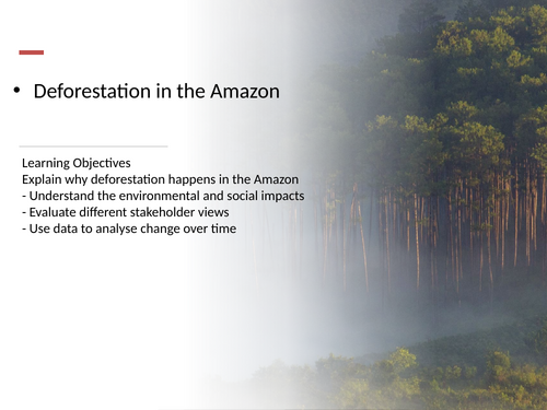 Deforestation in the Amazon Rainforest | Teaching Resources