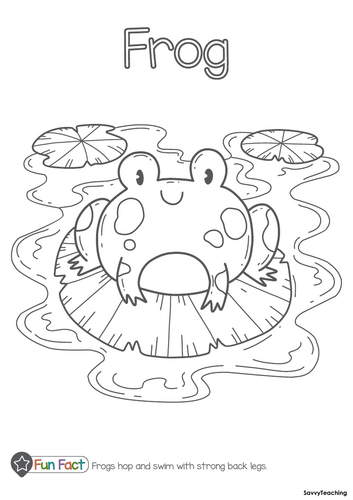FREE 140 Animal Colouring Pages with Fun Facts | Printable PDF for KS1 ...
