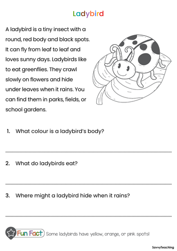 Insects Reading Comprehension Workbook | 18 Fun Non-Fiction Passages ...