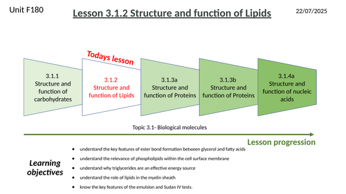 OCR AAQ F180 Biology B3.1 Lesson 2 Structure and Function of Lipids ...