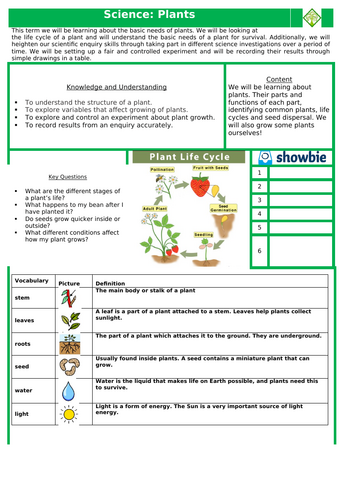 KS1 Year 2 Science: Full Plant Growth & Investigation Unit | 6 week ...