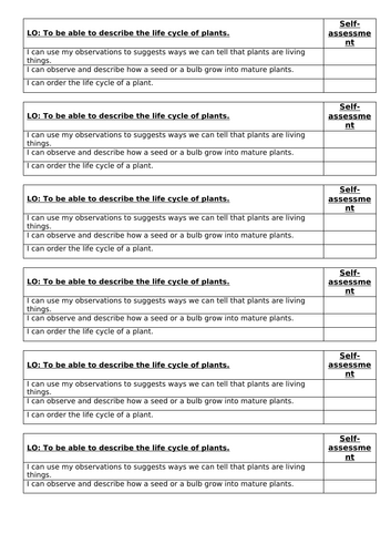 KS1 Year 2 Science: Full Plant Growth & Investigation Unit | 6 week ...