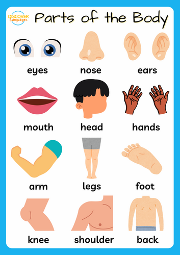 English ESL Parts of the Body Vocabulary Worksheets Wordsearch Activity ...