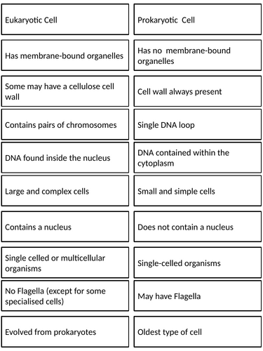 AQA GCSE Biology Cells: Eukaryotes and Prokaryotes | Teaching Resources