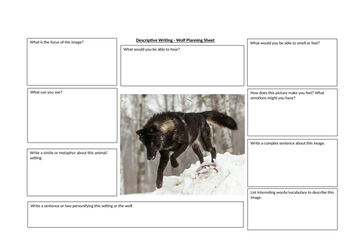 Creative Writing - Wolf Description - Assessment Prep and Assessment ...