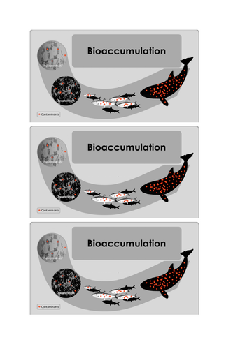Disruption to food chains and food webs - KS3 Activate lesson ...