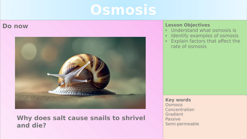 Osmosis Lesson Pack – Full PPT, Practical, Write-Up & Model Answers ...
