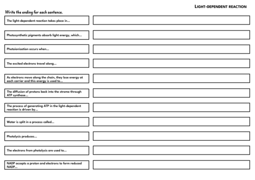 Photosynthesis A-level Biology Card Sort Revision Game | Consolidation ...