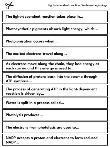 Photosynthesis A-level Biology Card Sort Revision Game | Consolidation ...