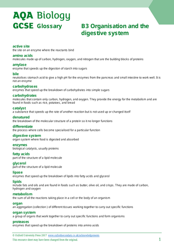 B3.3 The Chemistry of Food | Teaching Resources