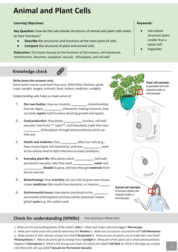 GCSE Plant and Animal Cells | Teaching Resources