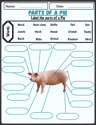 Parts of a Pig Worksheet | Farm Animal Anatomy Labeling | Teaching ...