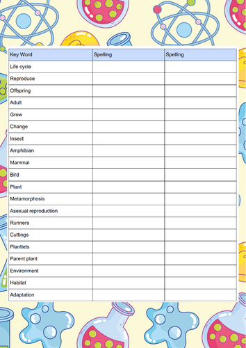 Primary Science Key Vocabulary Booklet – Year 5 (UK National Curriculum ...