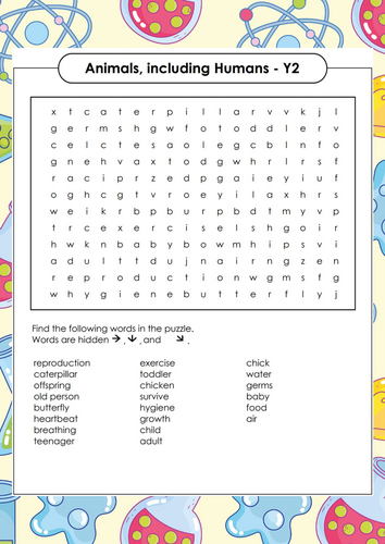 Primary Science Key Vocabulary Booklet – Year 2 (UK National Curriculum ...