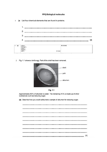 B4 Biological molecules (IGCSE Cambridge - Double - Biology) | Teaching ...