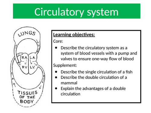 B9 Transport in animals (IGCSE Cambridge - Double - Biology) | Teaching ...