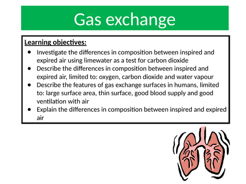 B11 Gas exchange (IGCSE Cambridge - Double - Biology) | Teaching Resources