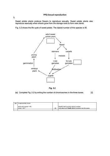 B15 Reproduction (IGCSE Cambridge - Double - Biology) | Teaching Resources