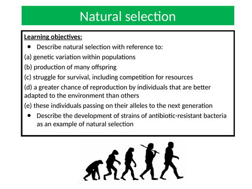 B17 Variation and selection (IGCSE Cambridge - Double - Biology ...