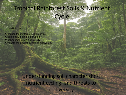 AQA GCSE Geography Tropical Rainforest Soils and Biodiversity ...