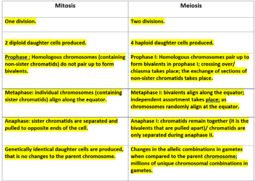 Cell Division (A-level) Mitosis and Meiosis | Teaching Resources