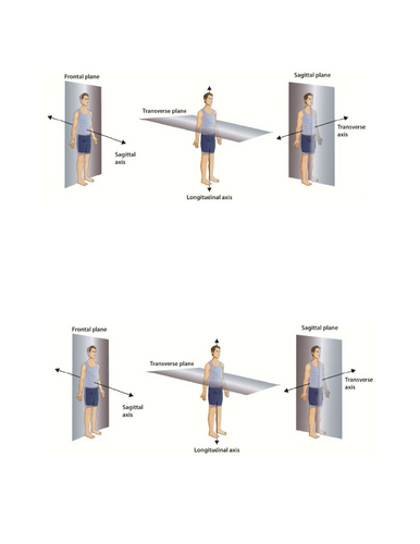 GCSE PE Movement Analysis - Levers, Planes and Axes | Teaching Resources