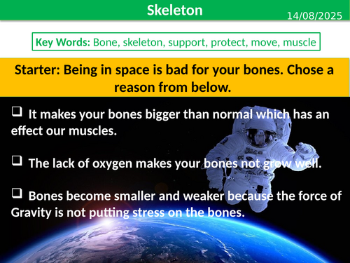 KS3 Year 7 Biology - Body Systems - Skeleton | Teaching Resources