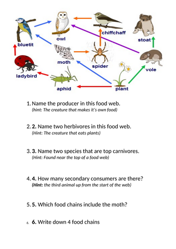 KS3 Year 8 - Biology - Ecosystems Processes - Food Chains & Webs ...