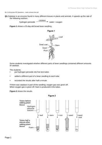 KS4 Year 9 - Systems - Required Practical 5 Enzymes | Teaching Resources