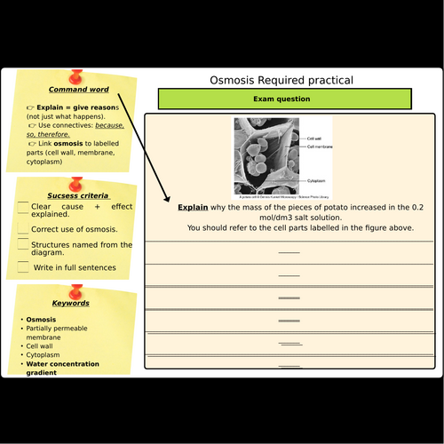 GCSE Biology Required Practical: Osmosis Differentiated Worksheets ...