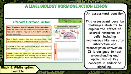 A Level Biology Hormone Action on Cells Lesson & Activities | Teaching ...
