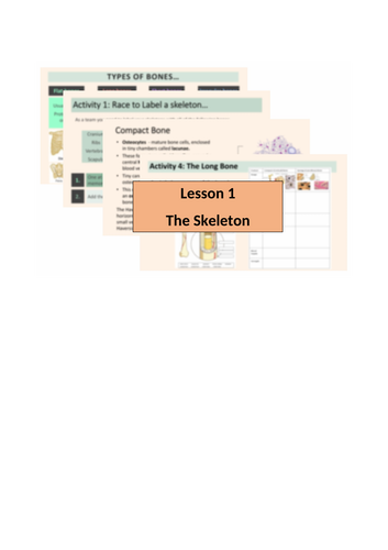 NEW: AAQ BTEC Medical Science Unit 1C Musculoskeletal System - Lesson 1 ...