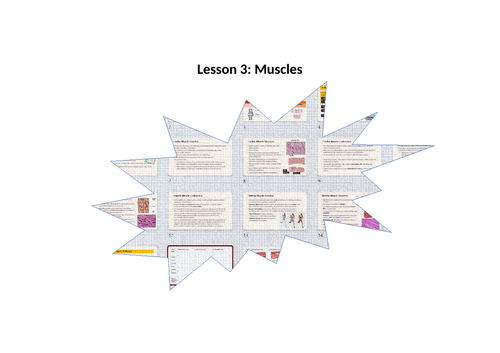 NEW: AAQ BTEC Medical Science Unit 1C Musculoskeletal System - Lesson 3 ...