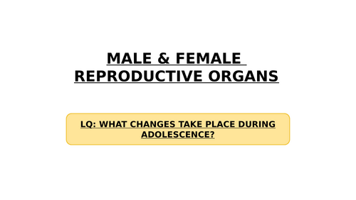 **iGCSE Biology Edexcel - MALE & FEMALE REPRODUCTIVE ORGANS ...