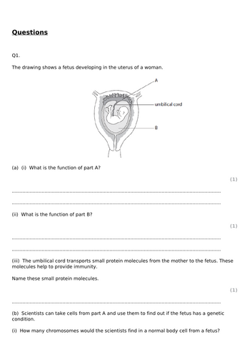 **iGCSE Biology Edexcel - PREGNANCY & THE ROLE OF THE PLACENTA ...