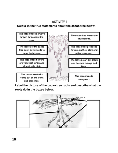 Worksheet and Information Pages From the From Cacao to Chocolate ...