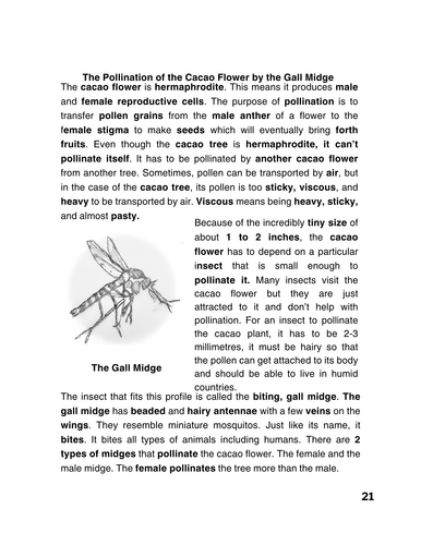 Worksheet and Information Pages From the From Cacao to Chocolate ...