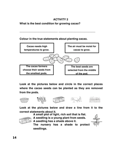Worksheet and Information Pages From the From Cacao to Chocolate ...
