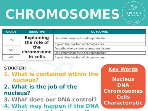NEW AQA Trilogy GCSE (2016) Biology - Chromosomes | Teaching Resources