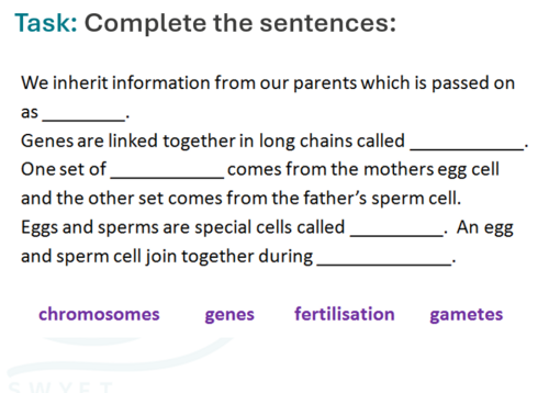 NEW AQA Trilogy GCSE (2016) Biology - Chromosomes | Teaching Resources