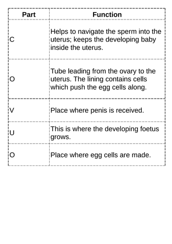 Female human reproductive system KS3 | Teaching Resources