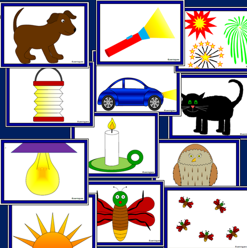 The Very Lonely Firefly book companion and sequencing- Eric Carle ...