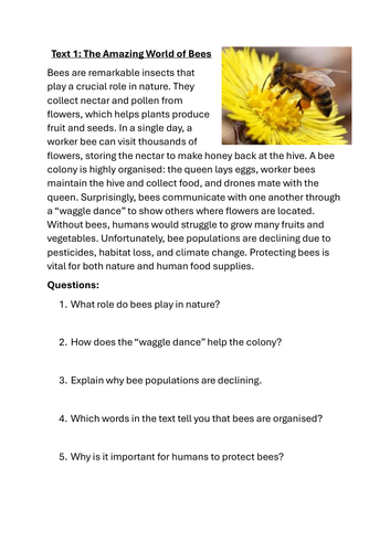 Year 6 Reading Comprehension Pack – Fiction & Non-Fiction Texts with ...