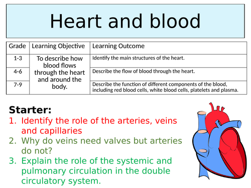 OCR GCSE (9-1) Biology - The heart and blood | Teaching Resources