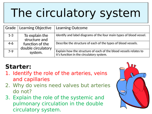 OCR GCSE (9-1) Biology - The circulatory system | Teaching Resources