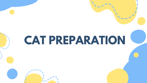 Year 7 English Lesson: CAT Prep & Writing | Teaching Resources