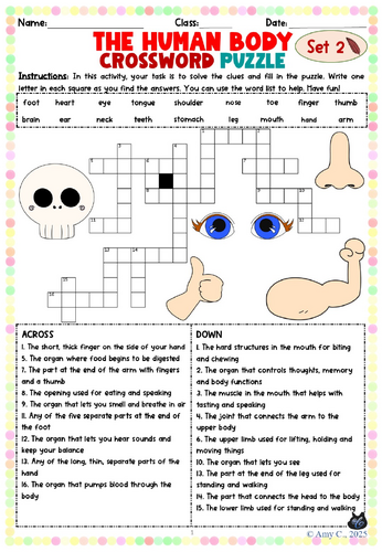The Human Body Color / B&W Differentiated Crossword Printables with ...