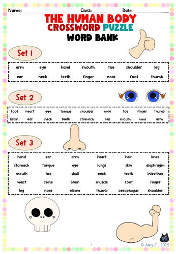 The Human Body Color / B&W Differentiated Crossword Printables with ...
