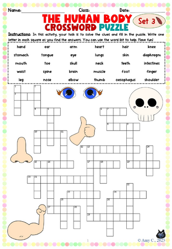 The Human Body Color / B&W Differentiated Crossword Printables with ...