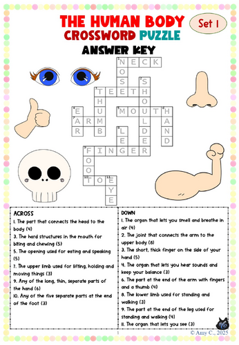 The Human Body Color / B&W Differentiated Crossword Printables with ...
